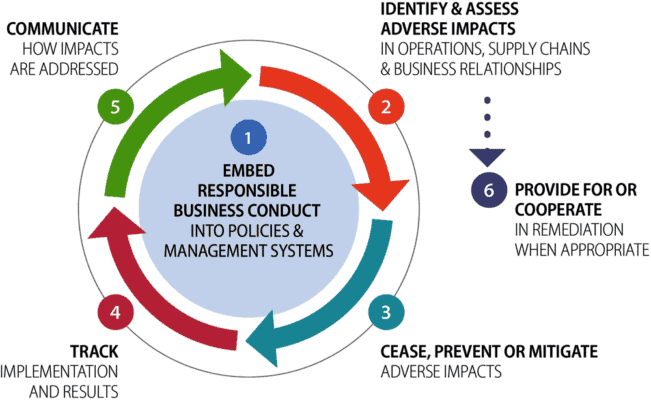 Åpenhetsloven i Norge: Informasjonskrav og aktsomhetsvurdering (2022 ...